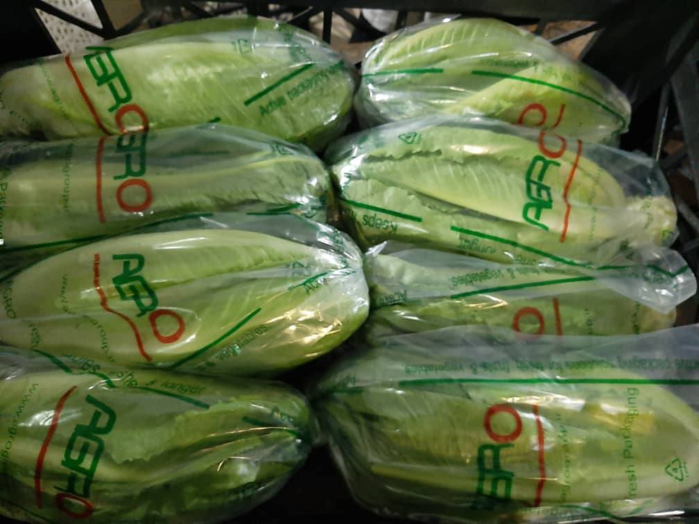 LetoVita | Wholesale Food & Vegetables - Buy Romaine Lettuce at the ...